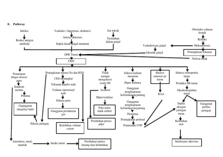 Pathway CKD | PDF