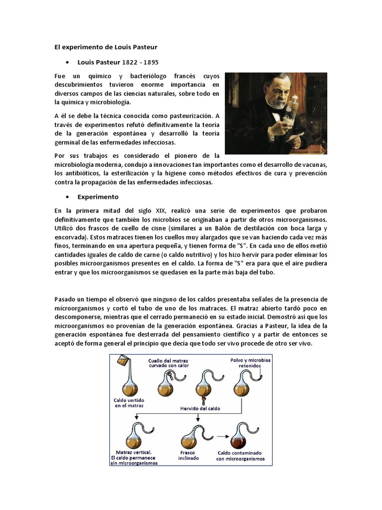 El Experimento de Louis Pasteur | PDF