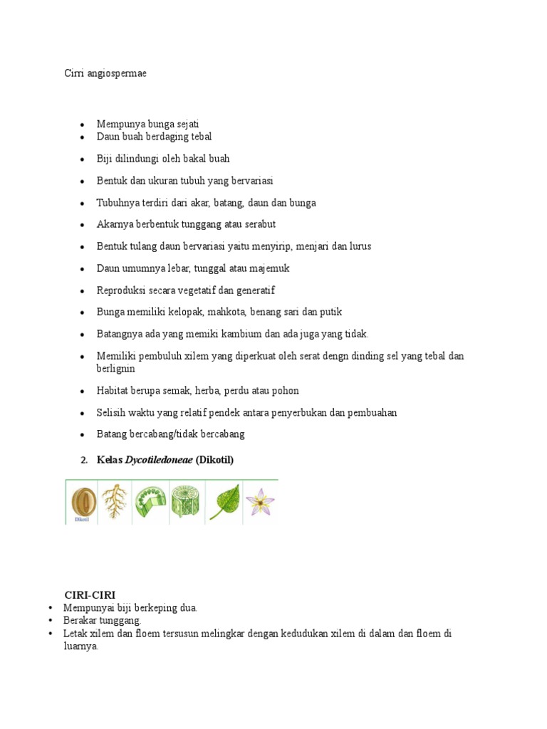 Ciri Angiospermae | PDF