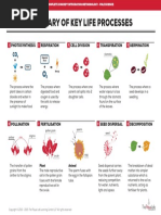 Sec 1 Science Notes | PDF | Mixture | Density