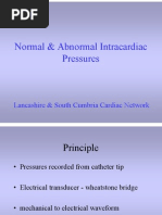 IAC Standards and Guidelines For Adult Echocardiography Accreditation ...