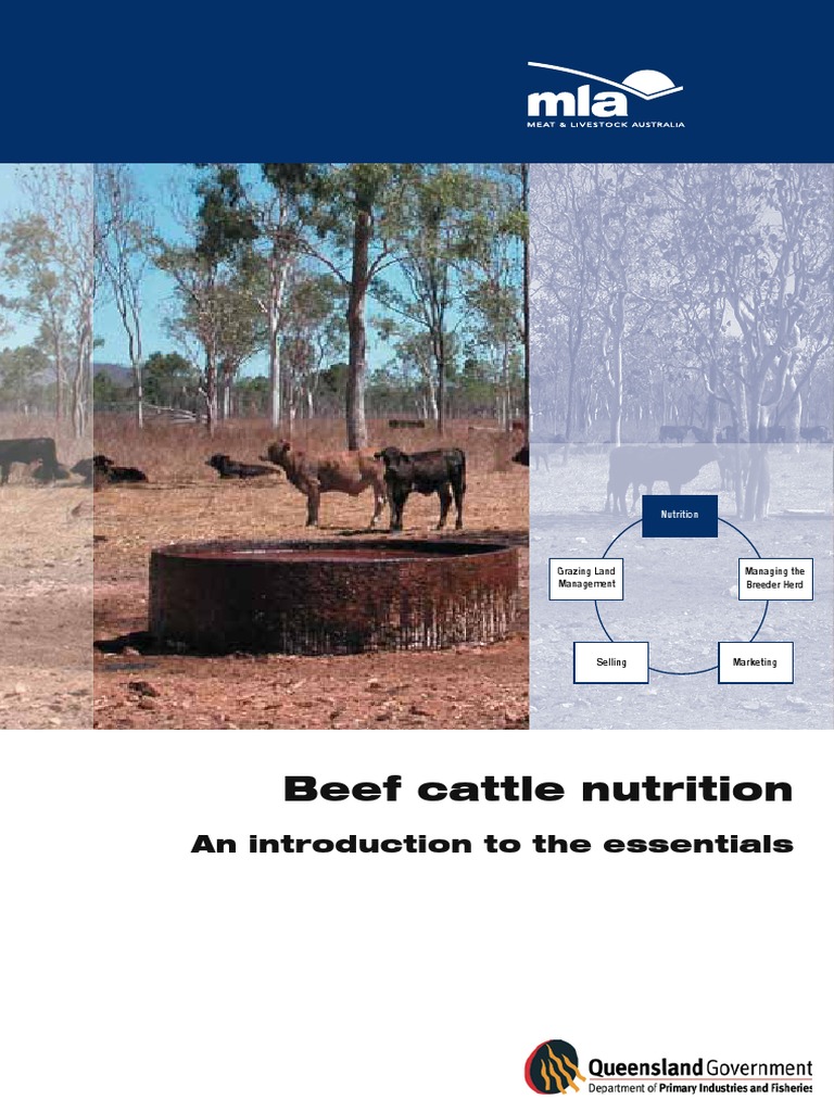 Beef-Cattle-Nutrition - MLA Guide PDF | PDF | Ruminant | Digestion
