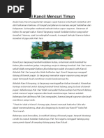 Kisah Pulu Pulu Upin Ipin, Pulau Harta Karun Nan Misterius | PDF