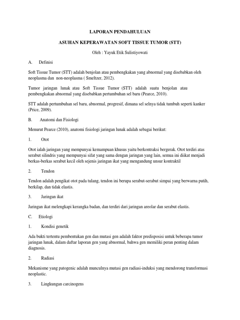 Laporan Pendahuluan STT | PDF