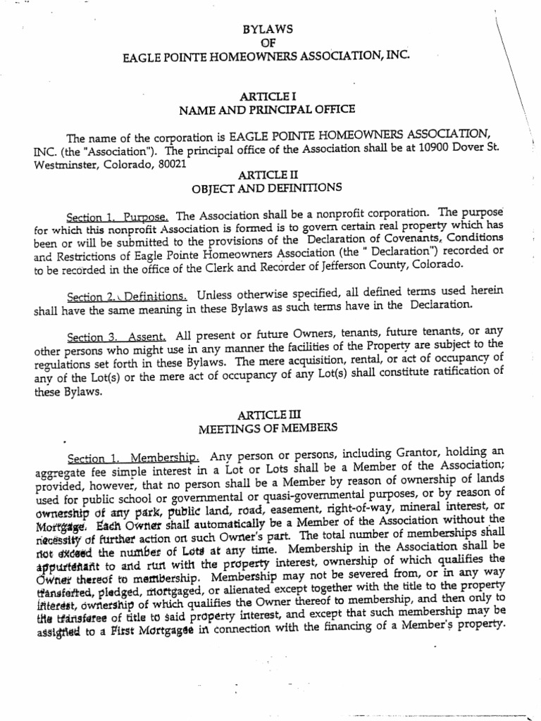 Eagle Point Hoa Bylaws | PDF