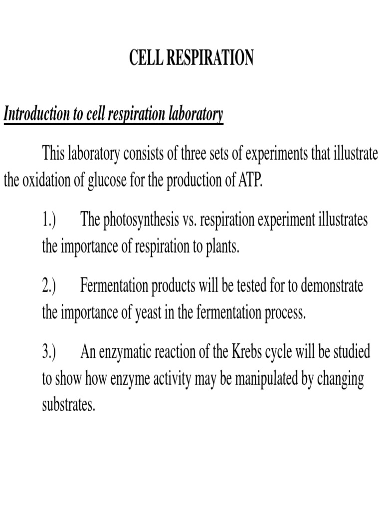 Introduction To Cell Respiration Laboratory | PDF | Cellular ...