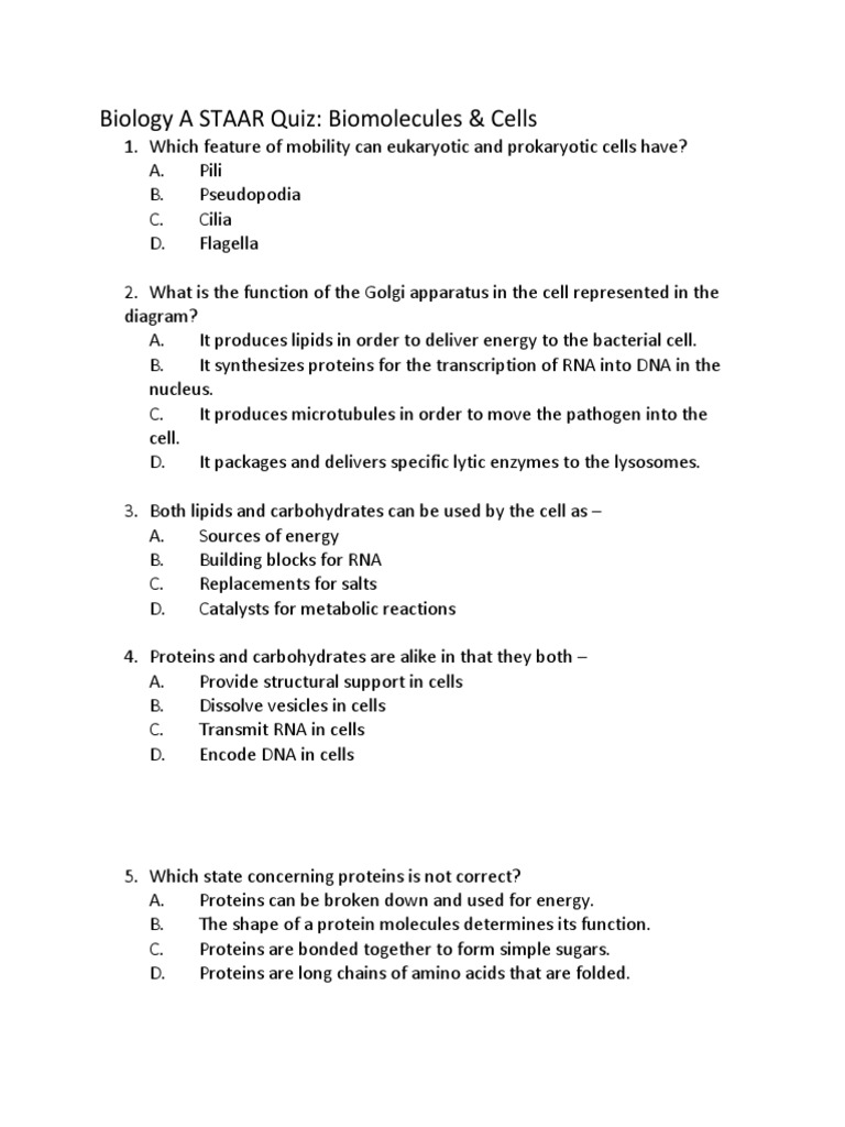 Biology Staar Quiz Biomol | PDF | Cell (Biology) | Proteins