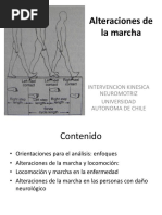 Marcha Trendelenburg: Análisis y Alteraciones | PDF | Pelvis | Sistema ...