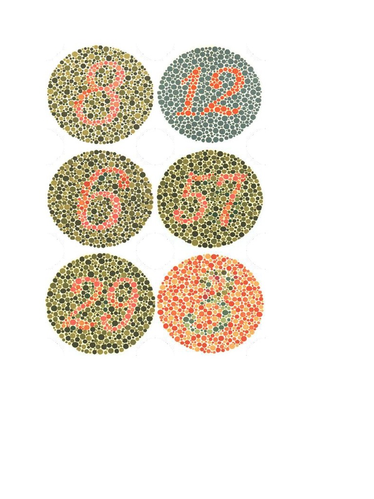 Ishihara Chart | PDF