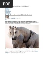 Pony Club C Test Guidelines | PDF | Horse Gait | Horses