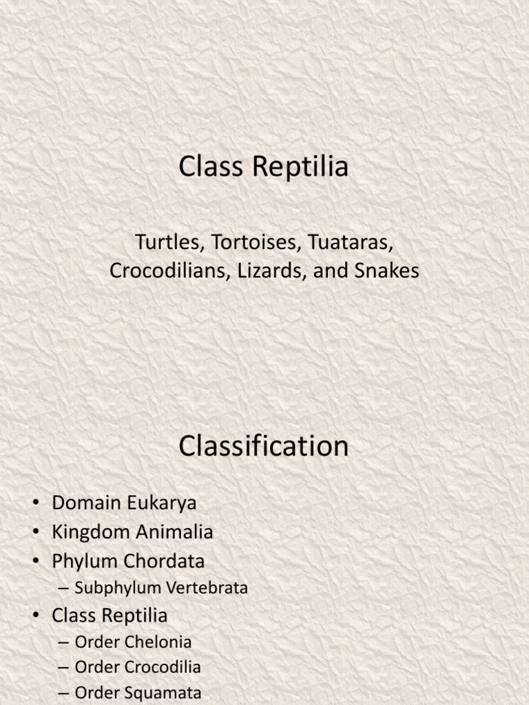 Class Reptilia: Turtles, Tortoises, Tuataras, Crocodilians, Lizards ...