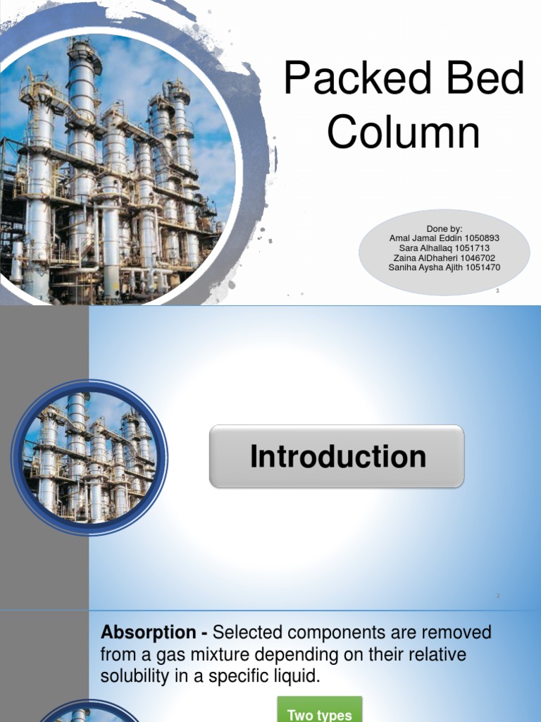 Packed Bed Column | PDF | Liquids | Pump