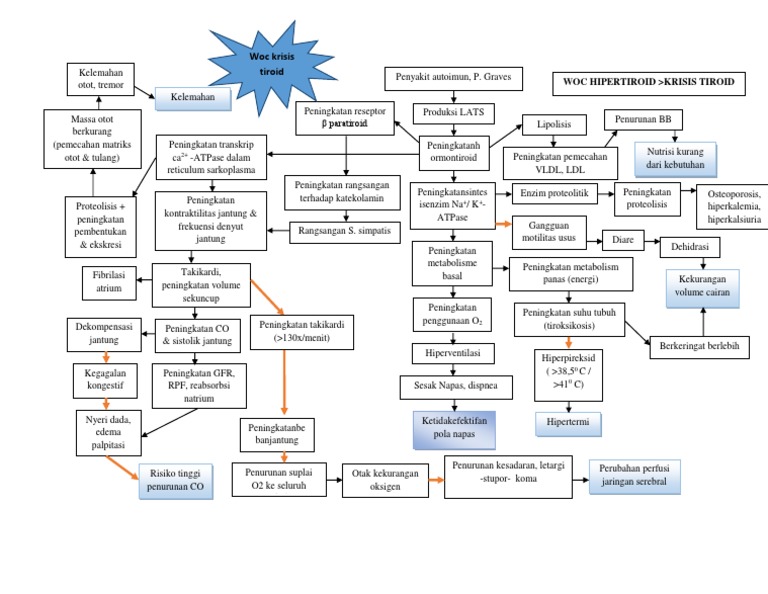 Pathway Krisis Tiroid | PDF