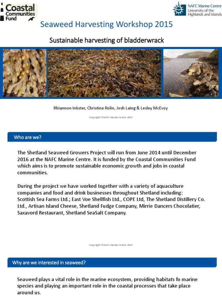 Seaweed Harvesting Workshop | PDF | Agriculture | Nature