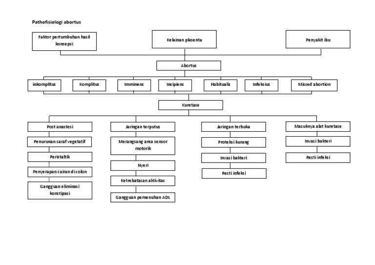Pathway Abortus | PDF