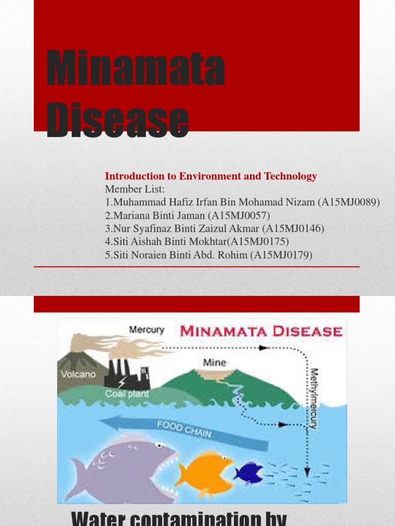 Minamata Disease | PDF | Mercury (Element) | Pollution