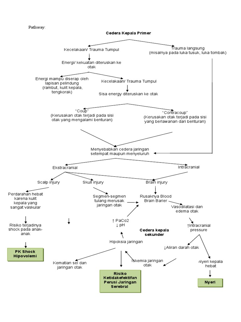 Pathway Cedera Kepala | PDF