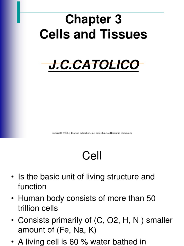 3 Cells and Tissues Lec | PDF | Epithelium | Endoplasmic Reticulum