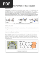 Canine Occlusion Classification Overview | PDF | Social Science | Young ...
