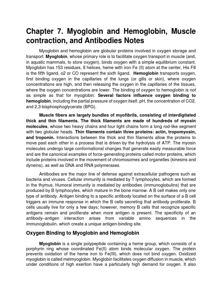 Biochem. Chapter 7 Notes. Myoglobin and Hemoglobin, Muscle Contraction ...