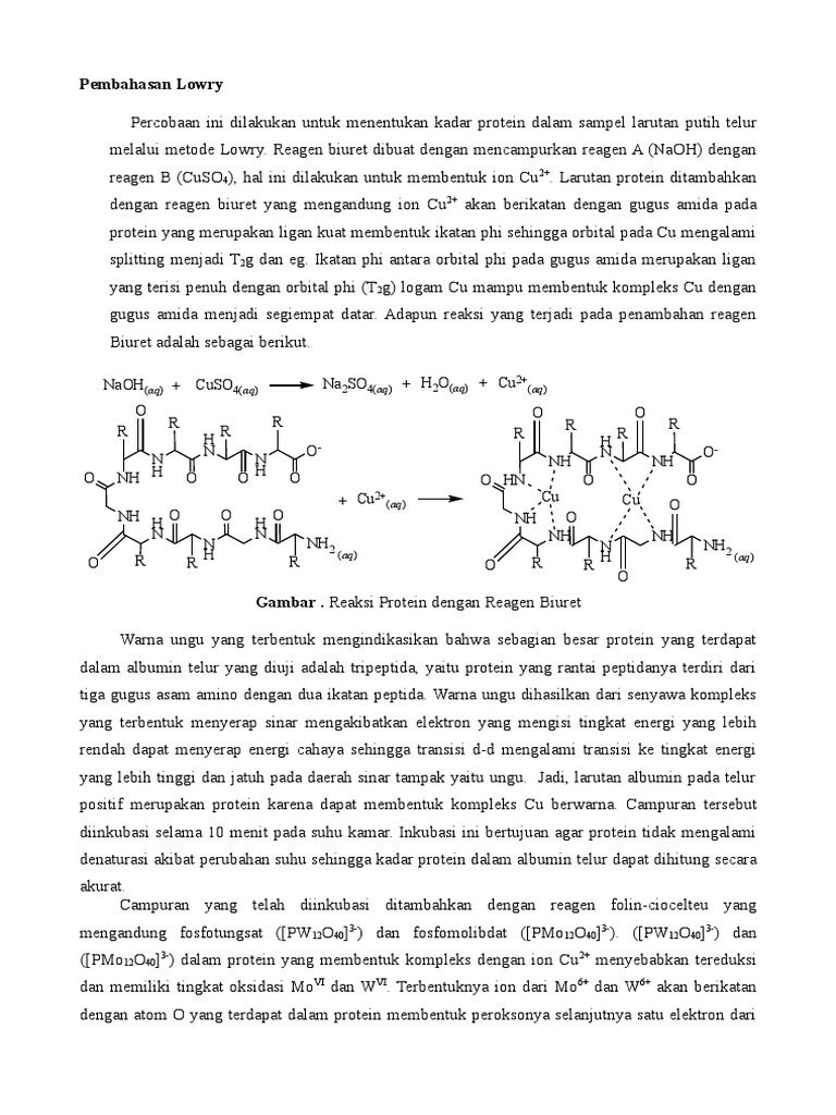 Analisis Protein Metode Lowry | PDF