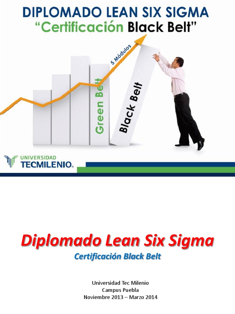 Diplomado Lean Six Sigma | PDF | Six Sigma | Lean Manufacturing