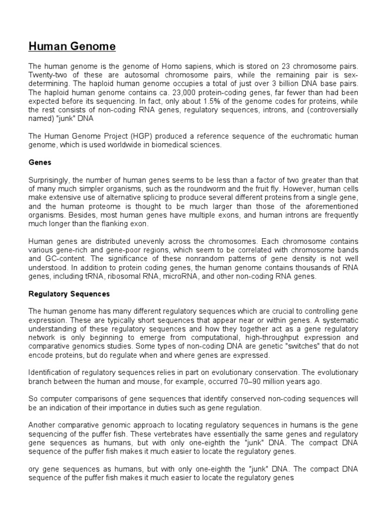 An In-Depth Look at the Content and Organization of the Human Genome ...