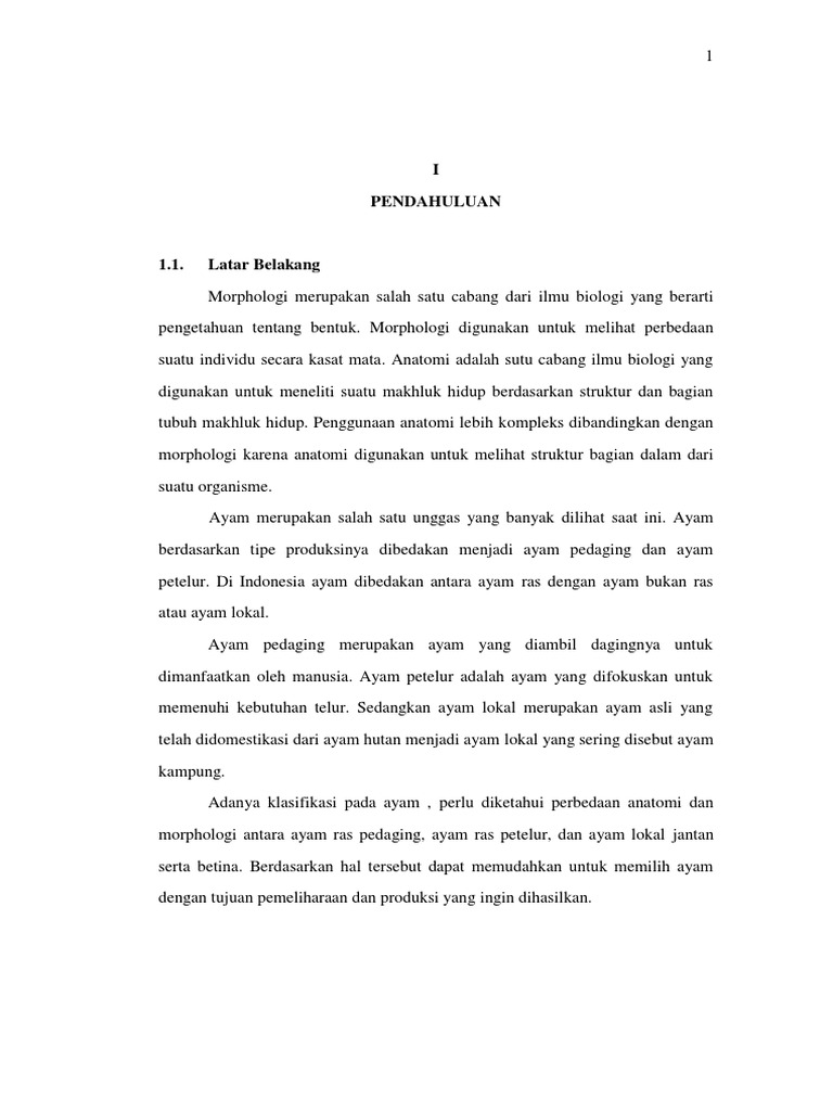 Struktur Anatomi dan Morfologi Tiga Jenis Ayam | PDF