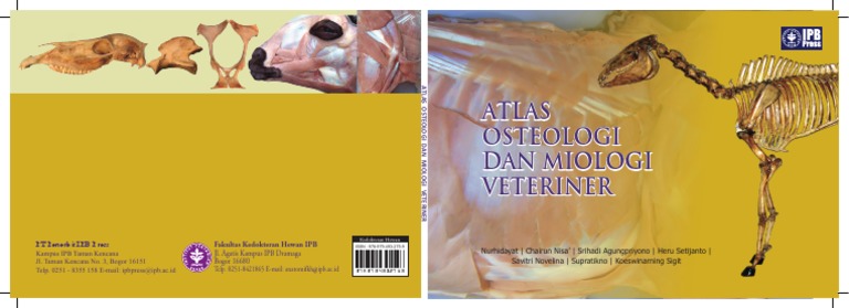 COVER Atlas Anatomi Kuda U Bu Anis | PDF