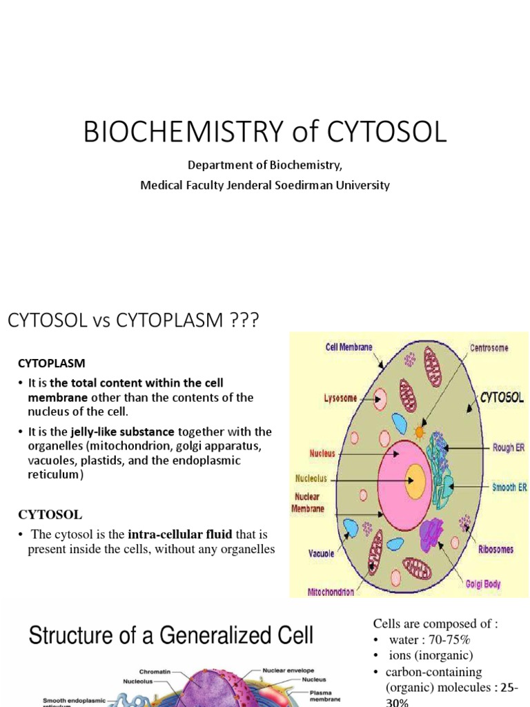 Understanding Cytosol and Its Functions | PDF | Chemical Bond | Osmosis
