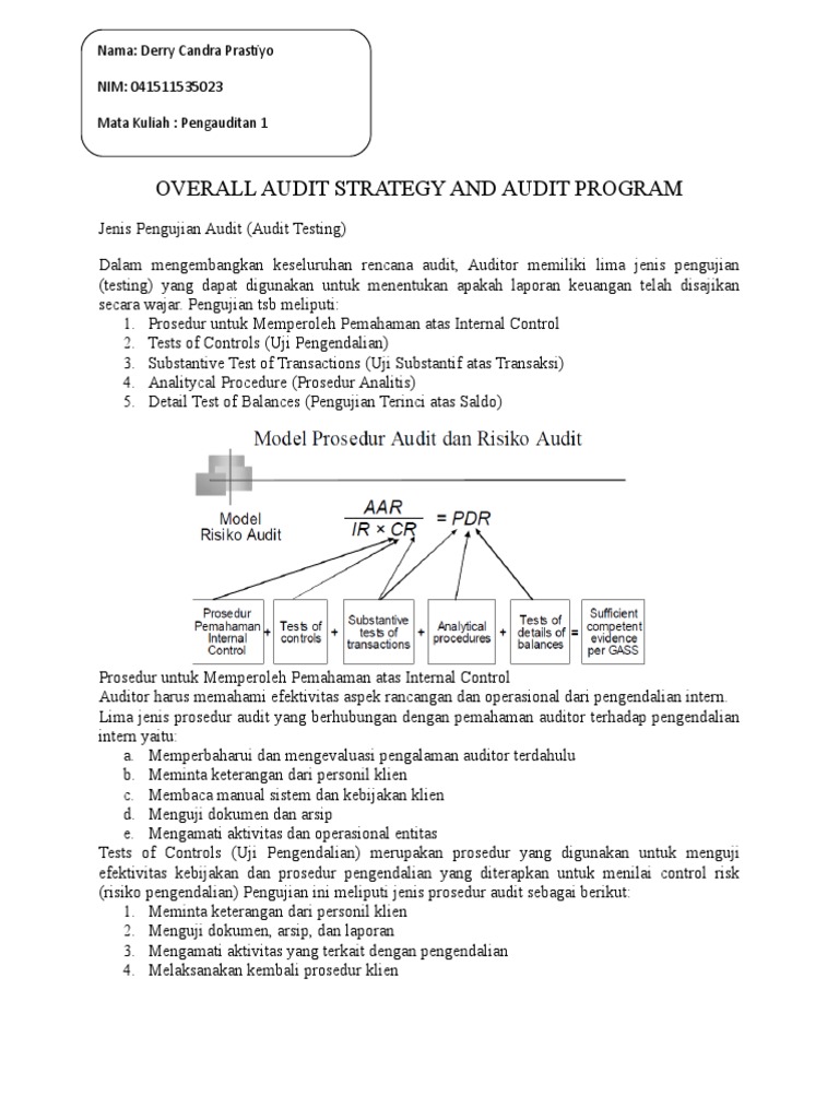 Overall Audit Strategy and Audit Program | PDF