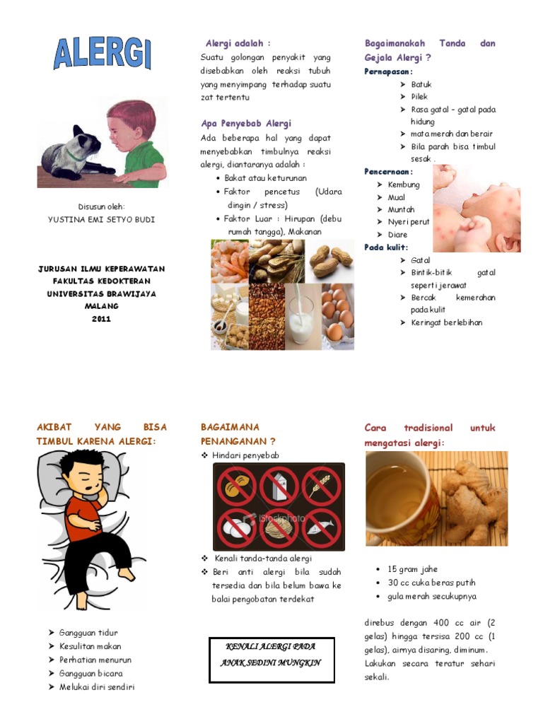 Leaflet Alergi | PDF