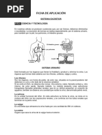 Sopa de Letras Proteinas | PDF