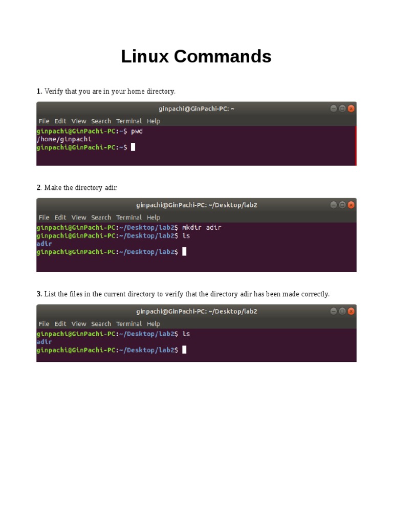 Linux Commands: 1. Verify That You Are in Your Home Directory | PDF
