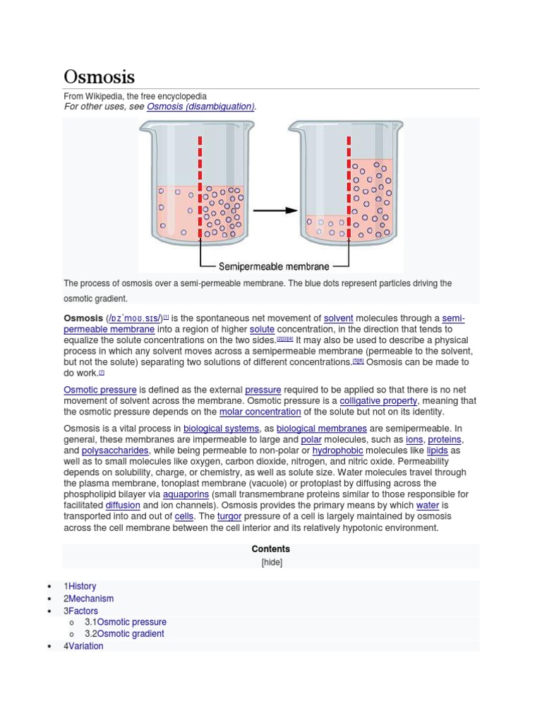 Osmosis: For Other Uses, See | PDF | Osmosis | Cell Biology