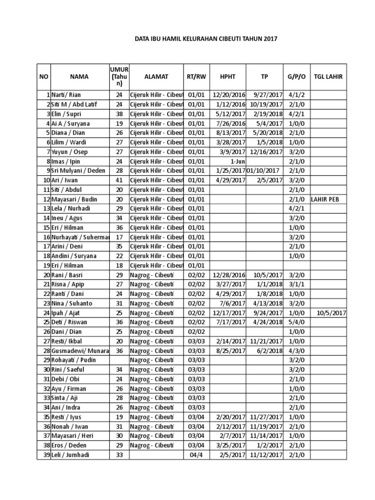 Data Ibu Hamil | PDF