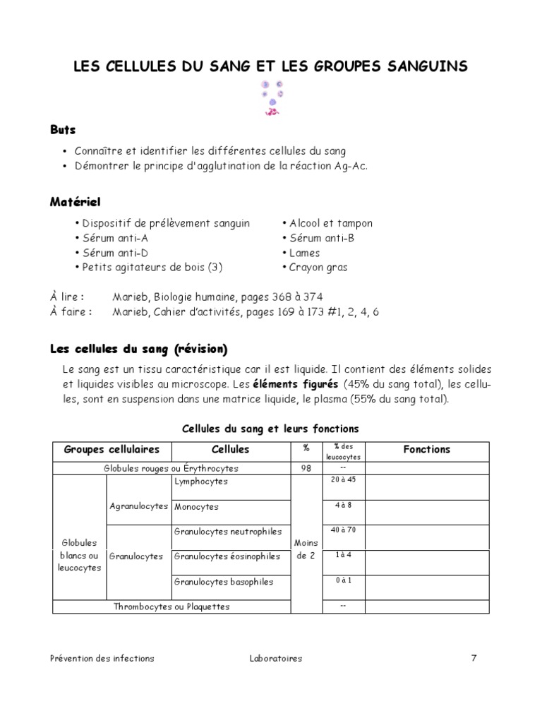 Les Cellules Du Sang Et Les Groupes Sanguins | PDF | Groupe sanguin ...