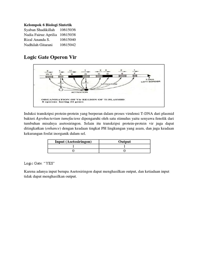 Operon Vir Agrobacterium tumefaciens | PDF