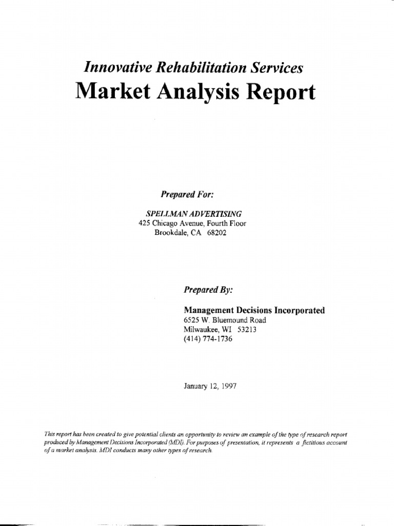 Market Analysis Report (Example Research) PDF | PDF