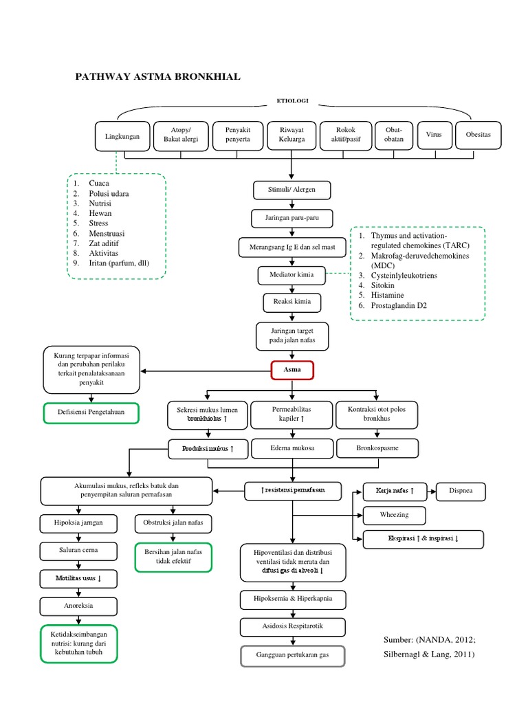 Pathway Asma Bronkhial | PDF