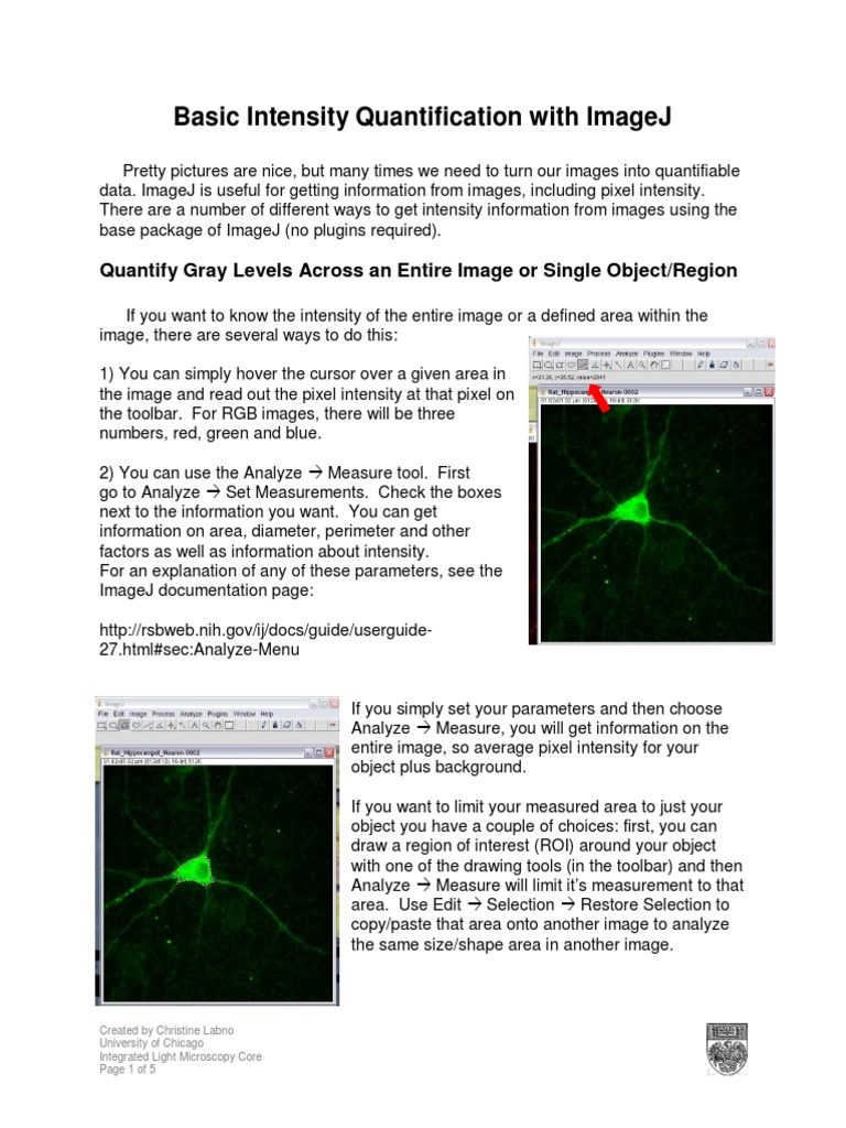 Basic Intensity Quantification With Imagej: Quantify Gray Levels Across ...
