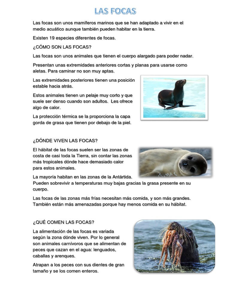 Las Focas | PDF