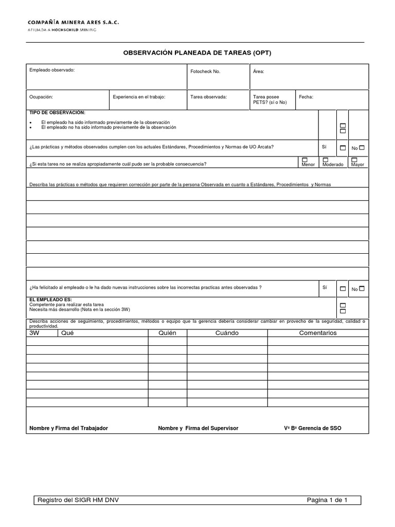 Formato OPT | PDF | Informática y tecnología de la información | Science