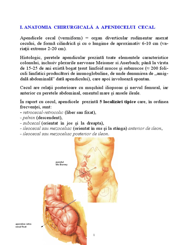 Patologie Apendiculara | PDF