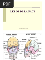 Anatomie des Os du Visage Humain | PDF | Anatomie humaine | Appareil ...