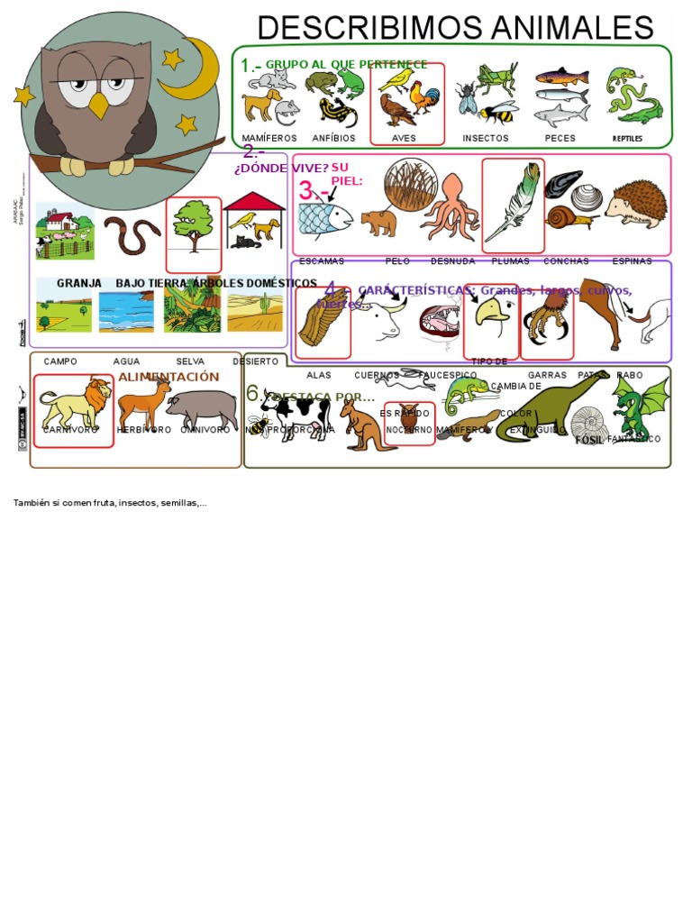 Describir Animales | PDF