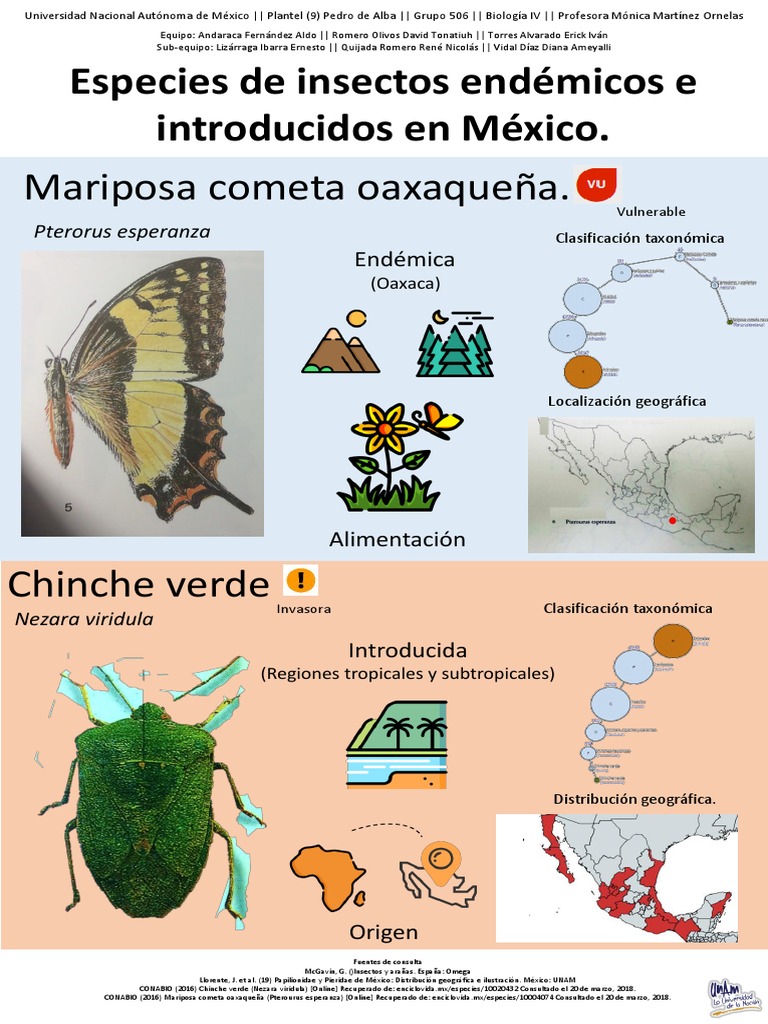 Infografía. Insectos | PDF | Hexapoda | Insectos