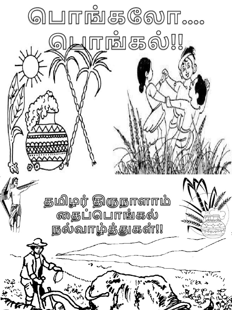 Pongal Coloring