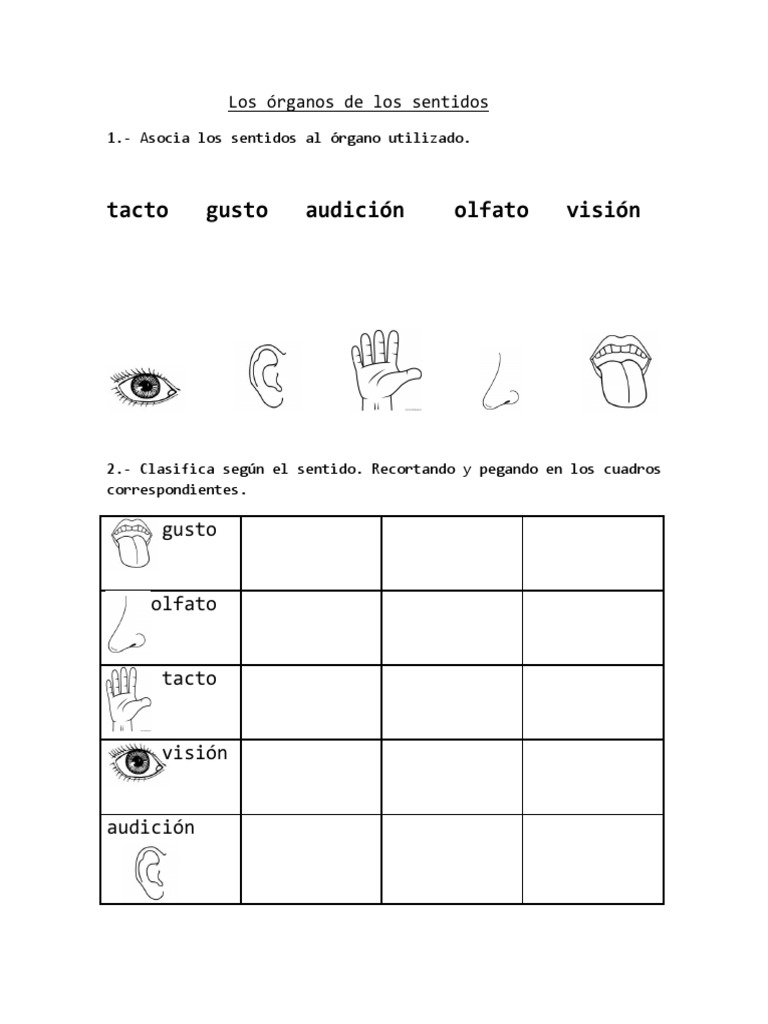 Guía Los Órganos de Los Sentidos. 2 | PDF