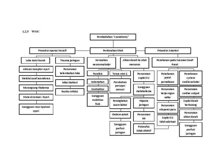 Woc Post Op Craniotomy | PDF